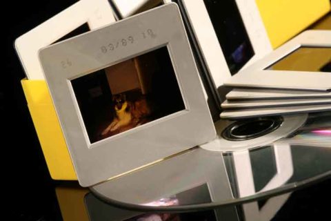 Best Slides To CD Services: Slide Scanning To DVD